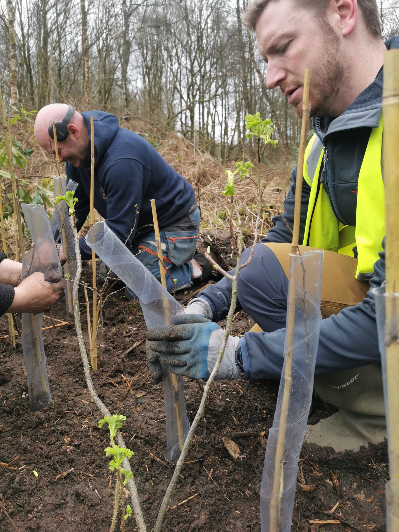 Replanting our Residential Boundary – CCDT