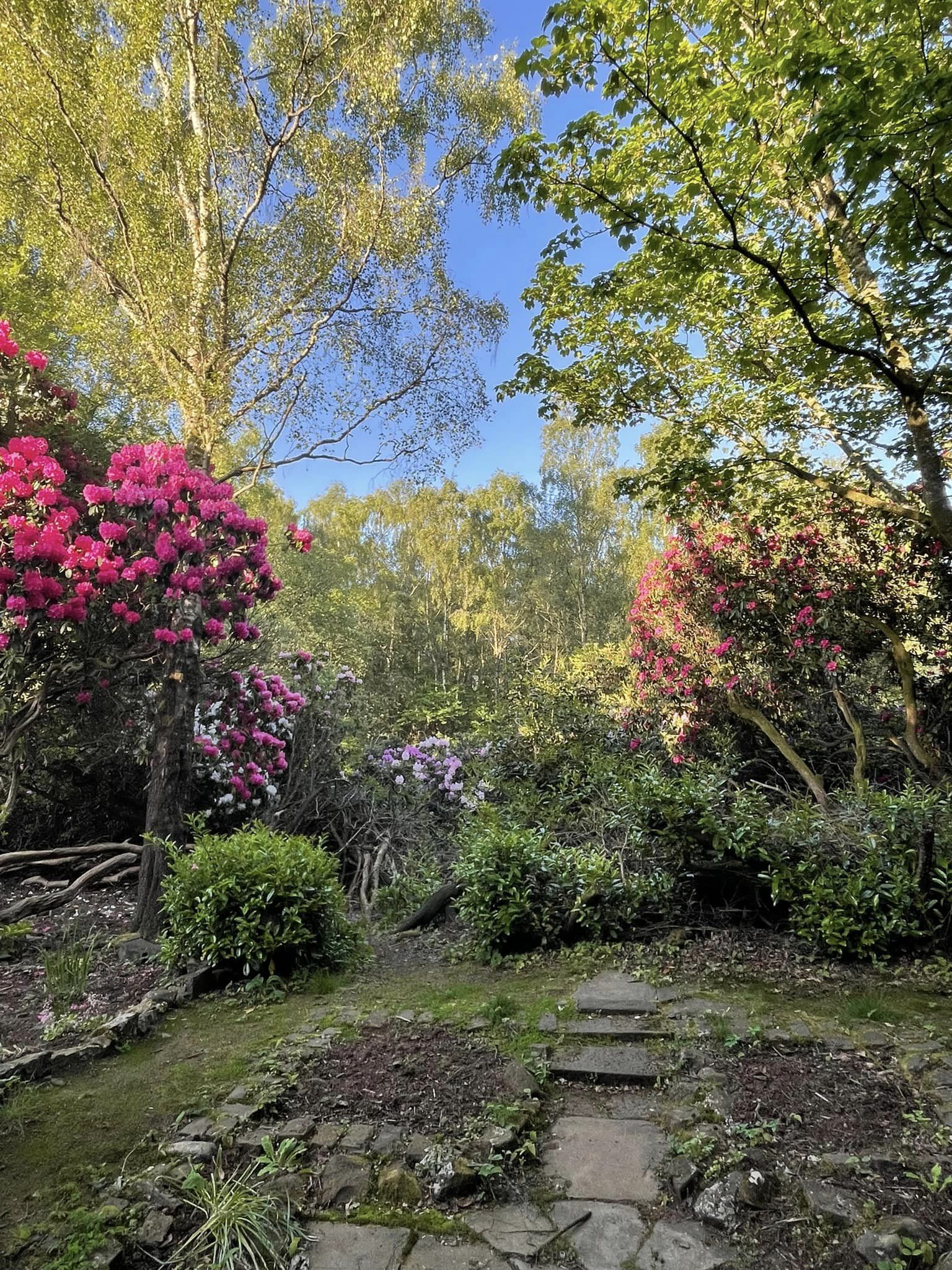 Early Summer Update – CCDT