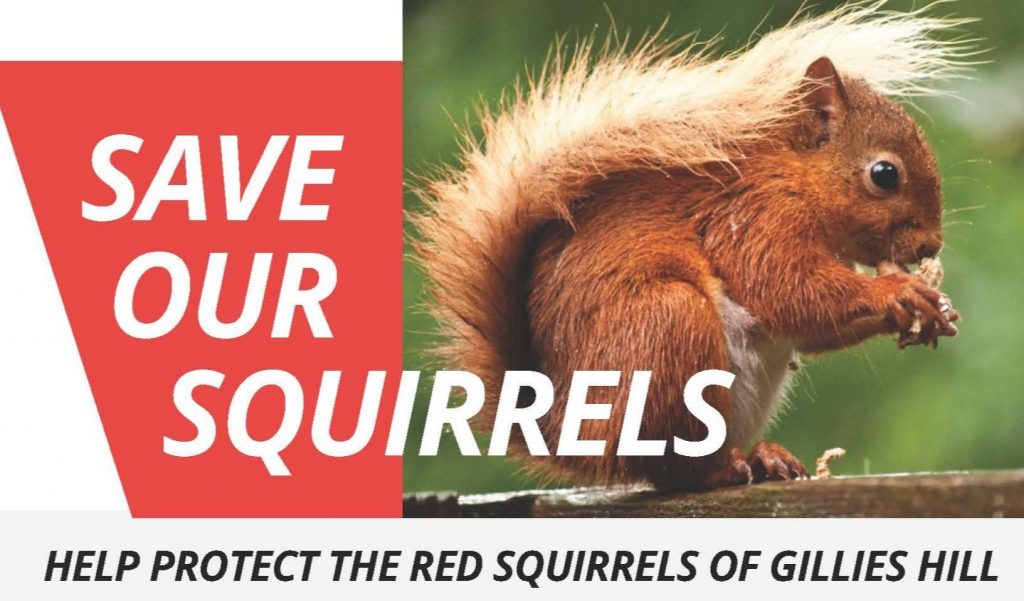 Save Our Squirrels – CCDT